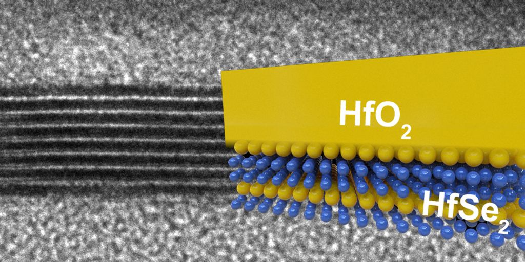 Exploring the Different Types of Semiconductors Exploring the Different Types of Semiconductors